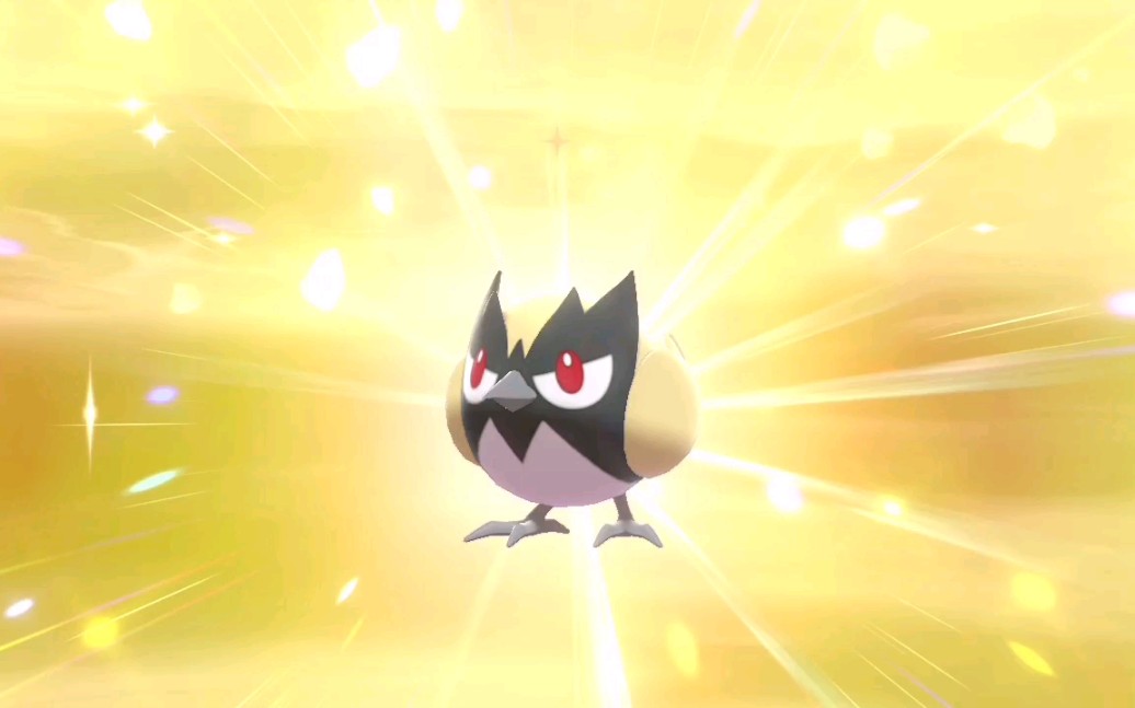 掉色的迦勒尔出租车!276闪光稚山雀get!【宝可梦剑盾】