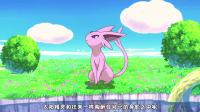 口袋妖怪,皮卡丘发现一个神奇地方,这里的伊布种类很齐全