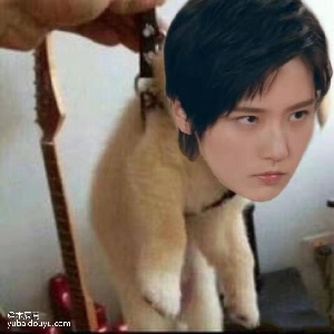 陌八荒 