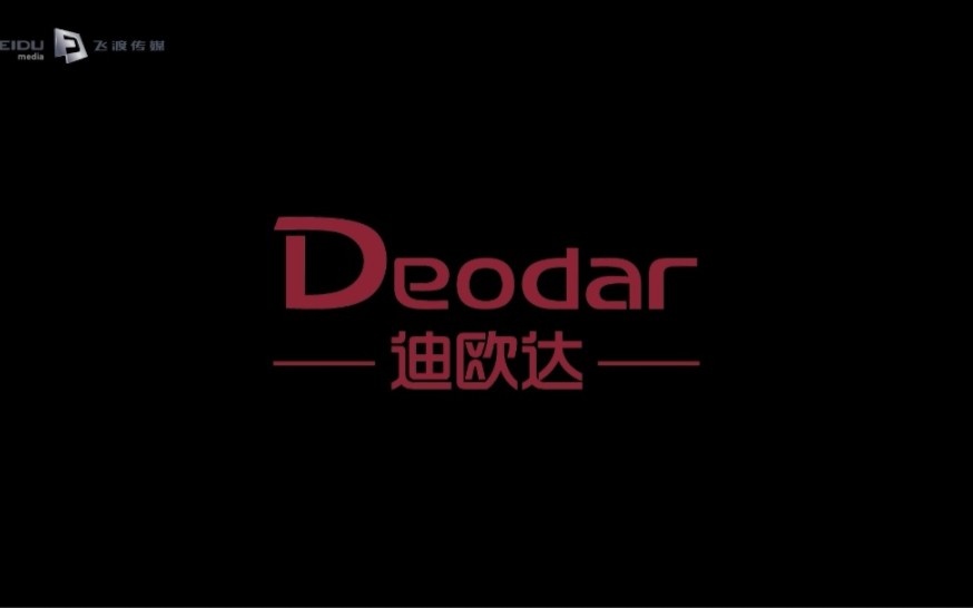 【广告宣传】迪欧达时尚羽绒服