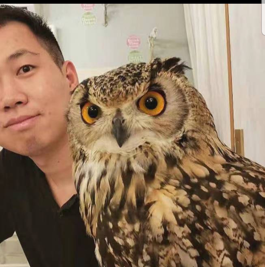 可乐西蒙 