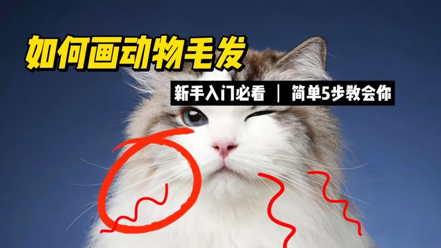 彩铅教程|如何画动物的毛发?