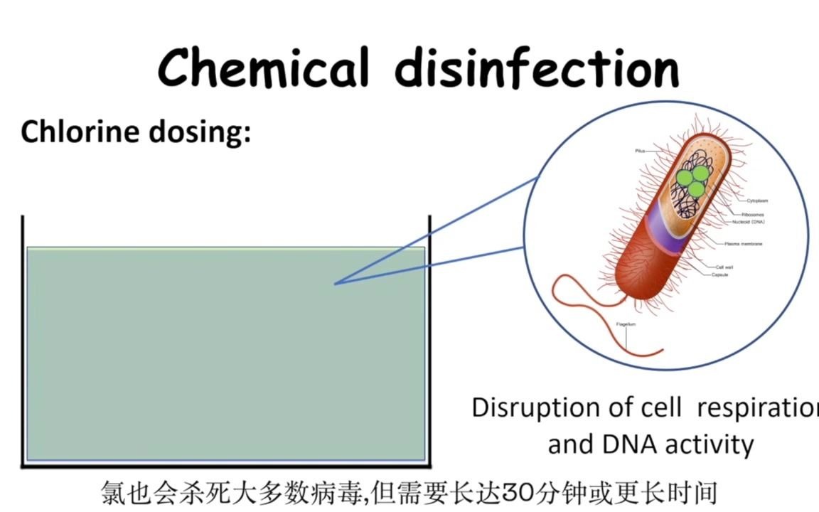 乐中环保科技:紫外线消毒如何去除水中的细菌铅笔动画
