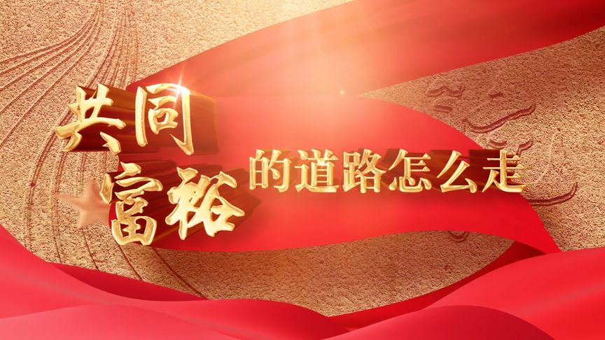 领航中国|共同富裕的道路怎么走