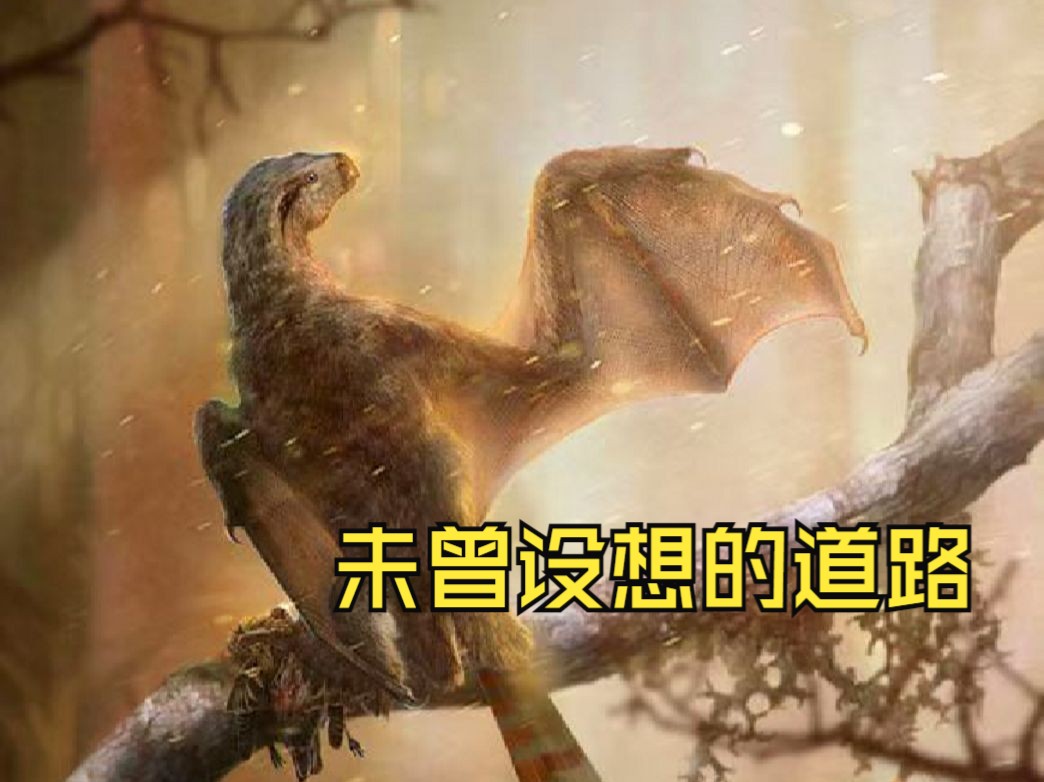 奇翼龙和长臂混元龙:主龙类的第三种翅膀