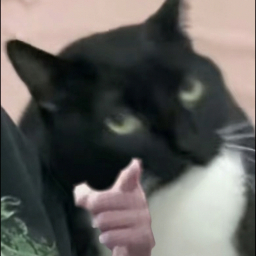 沉浸式数据库管理员 