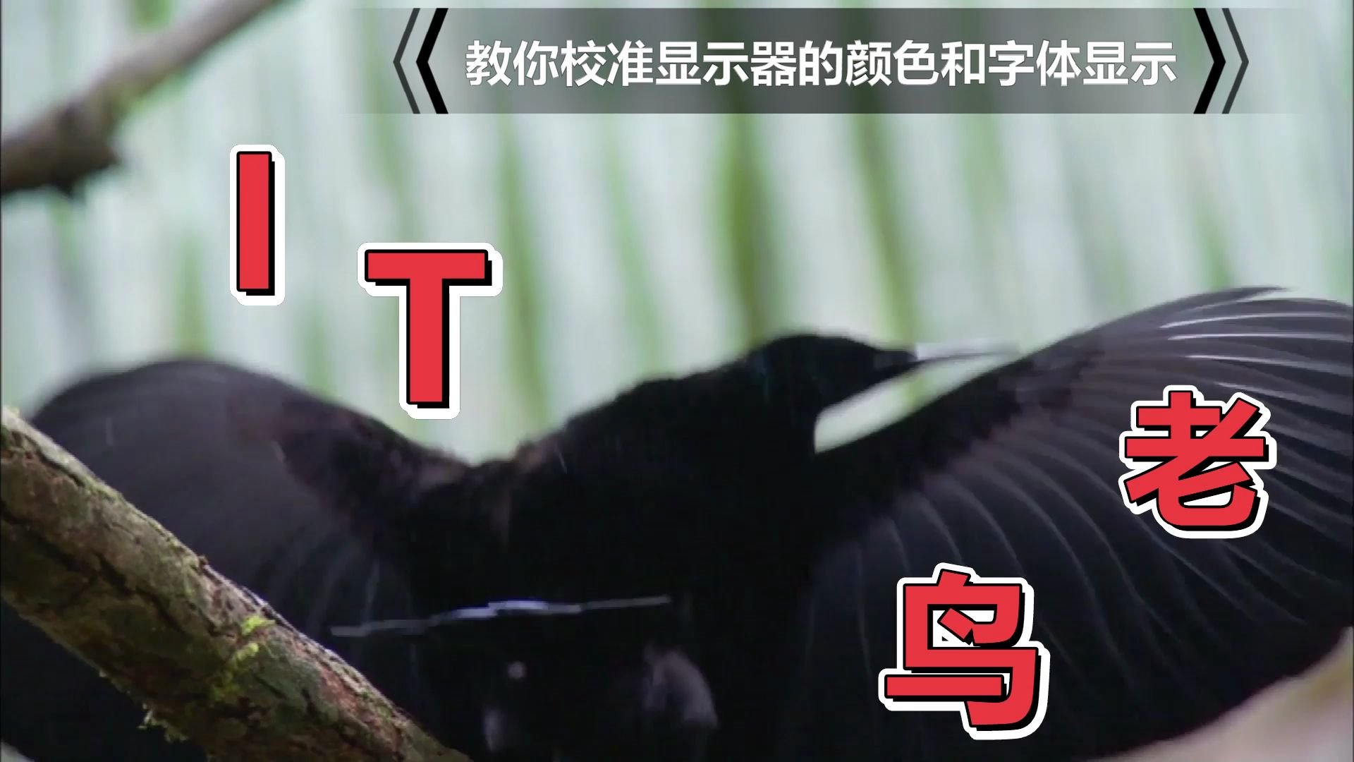 教你校准和优化显示器的颜色以及字体,让你的显示器焕发新生。