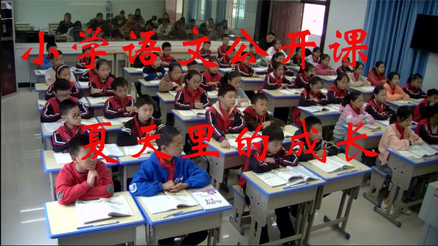 小学语文公开课《夏天里的成长)