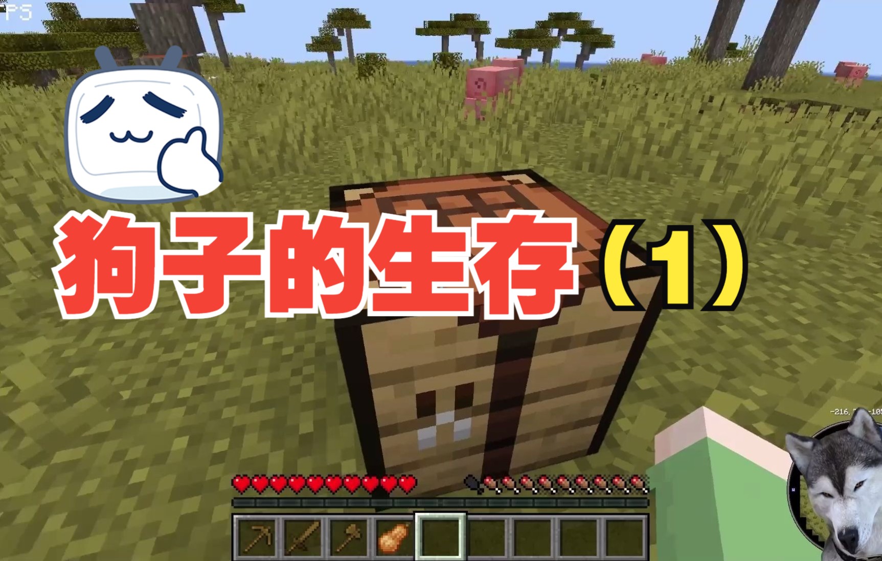 【我的世界】1.18.1神种开局,第一天就遇到沙漠神殿