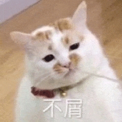 大辛呢 