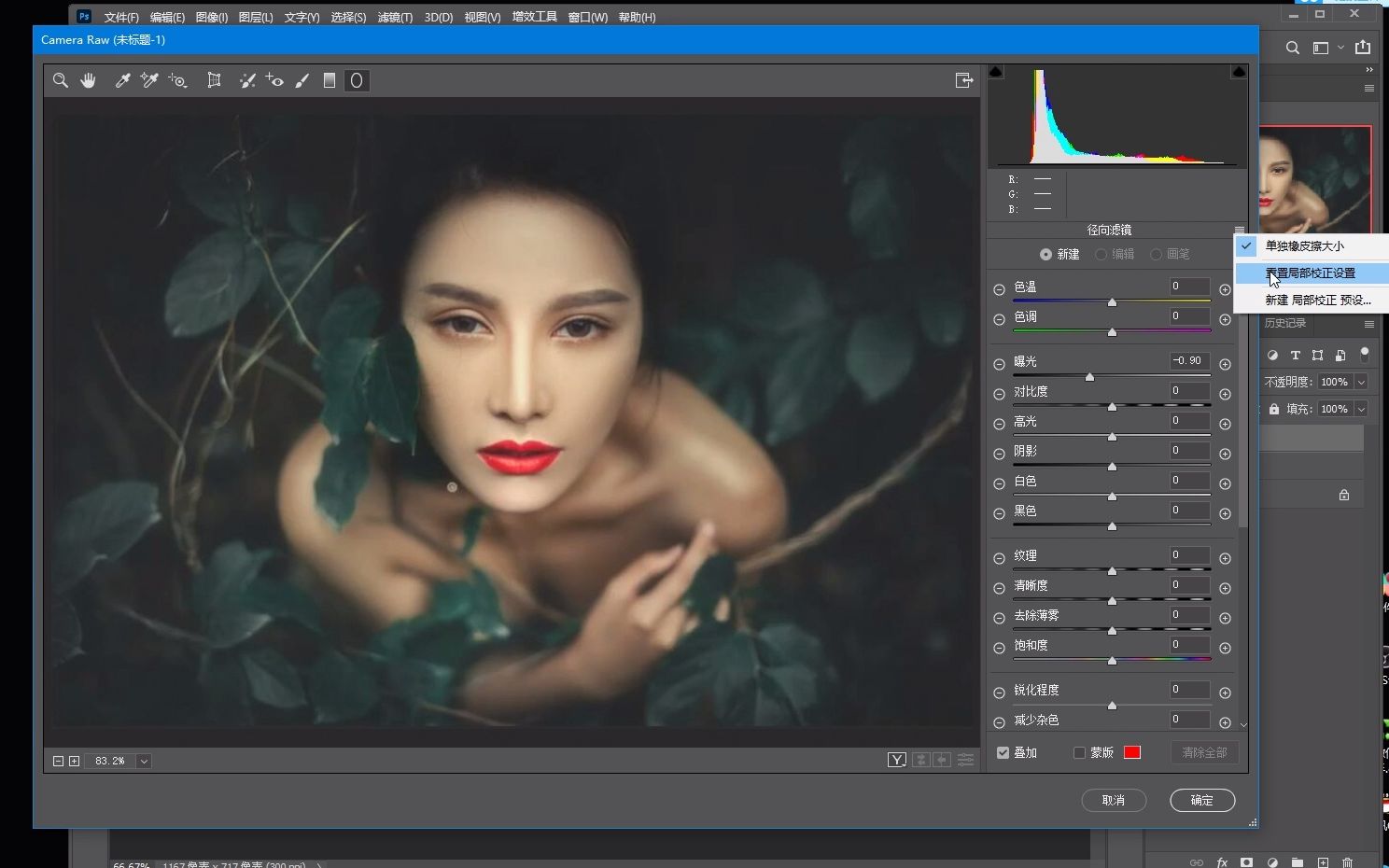 第6课:径向滤镜的操作