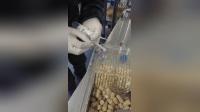 BD300 采血管采血视频