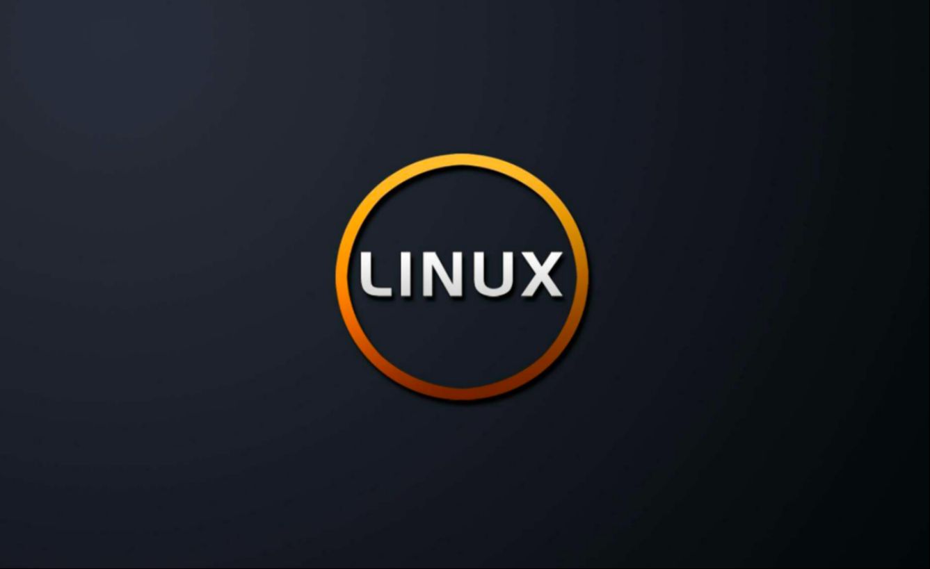 Linux编辑器vi