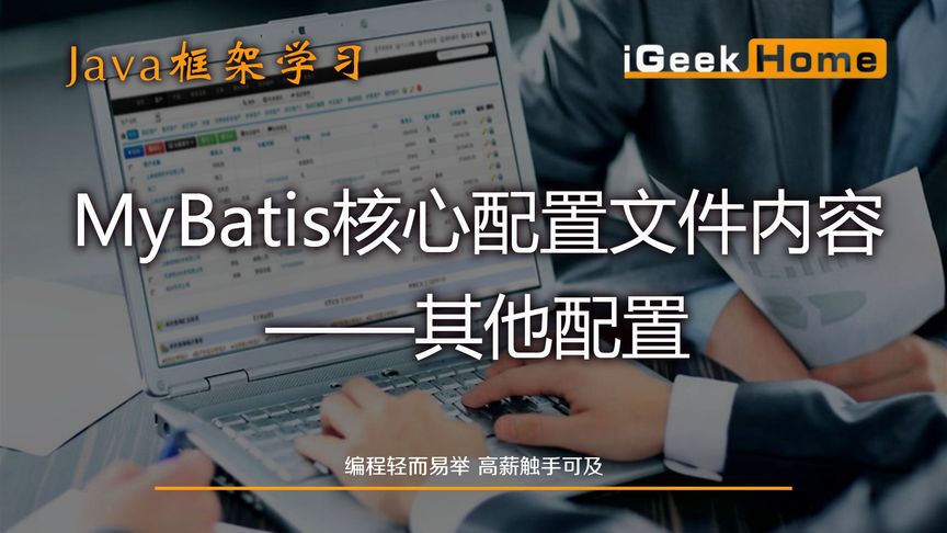 2.4 MyBatis核心配置文件内容-其他配置