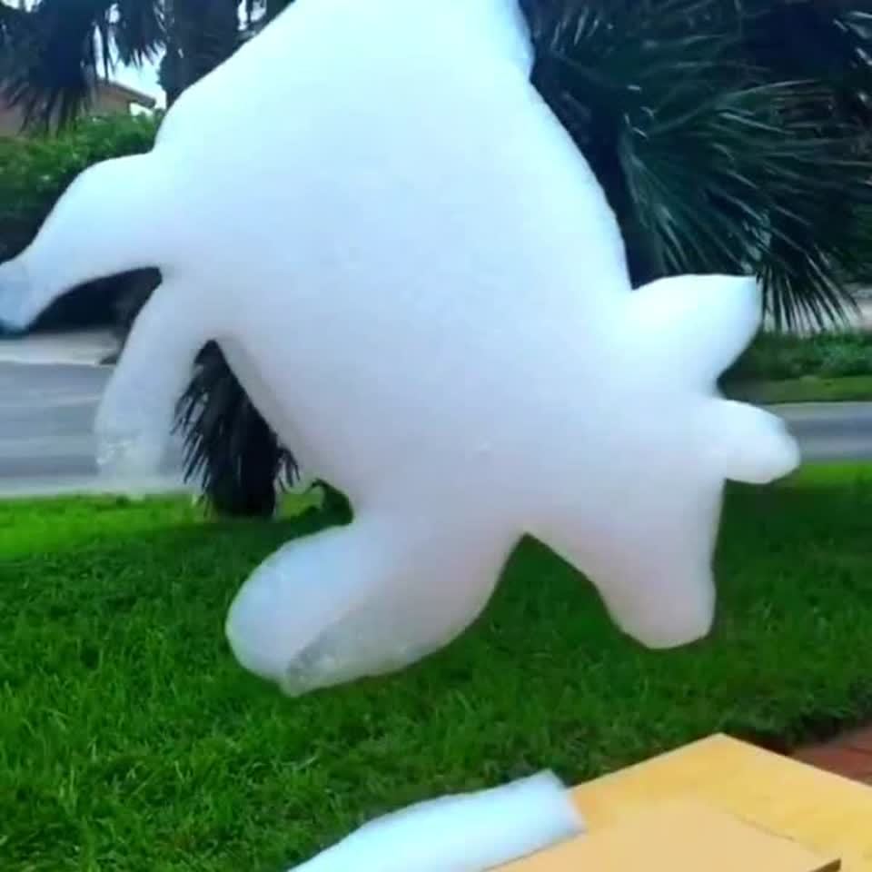 不要犹豫 快艾特你列表第一位来看 并对ta说你飞起来的样子真可爱