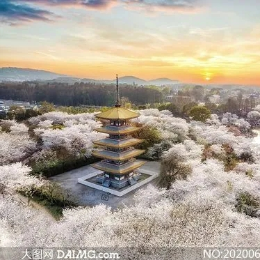 鼎龙影视 
