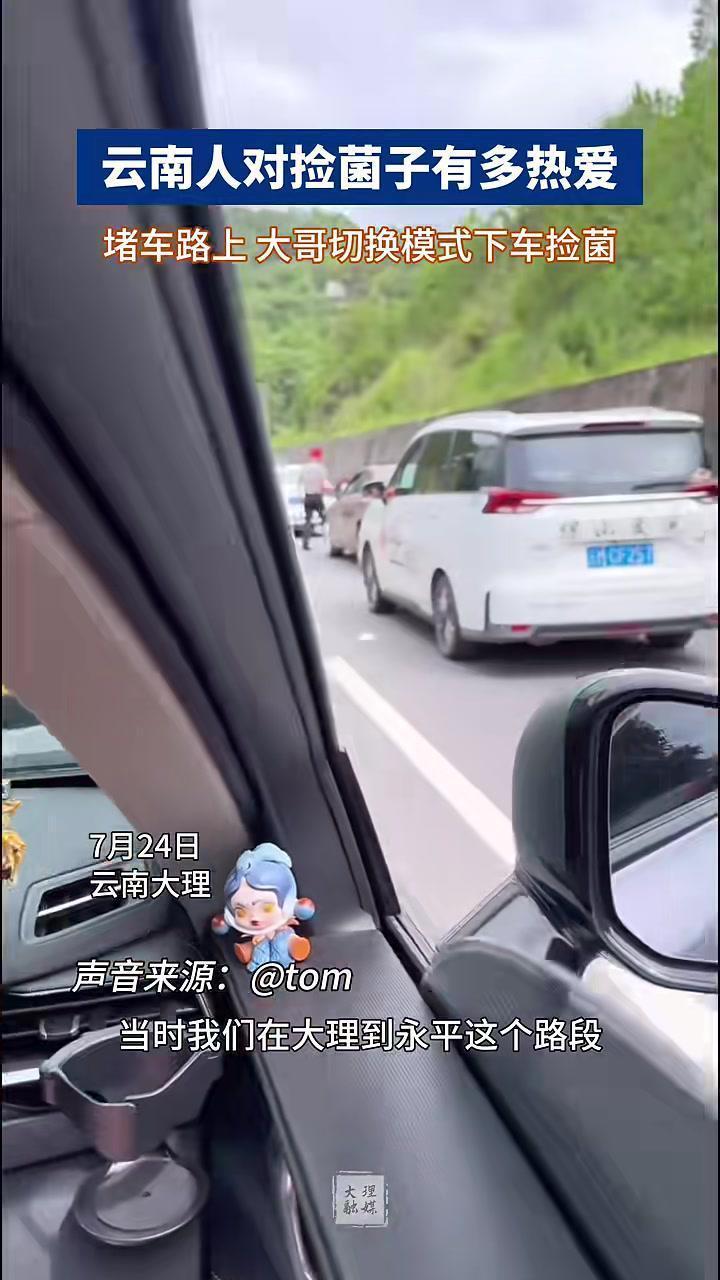 ...大哥切换模式下车捡菌……融融提示:危险行为请勿模仿!#出行安全#...