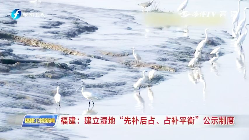 福建省《湿地占补平衡暂行管理办法》近日出台