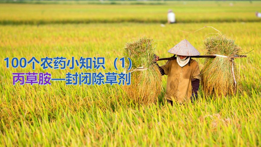 100个农药小知识(1),丙草胺,封闭除草全靠它