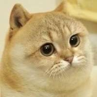 新起点在线教育 