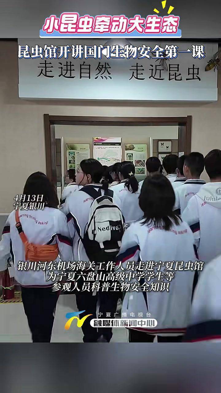 小昆虫牵动大生态--昆虫馆开讲国门生物安全第一课#宁夏#昆虫科普(...