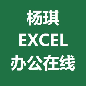 杨琪Excel办公在线 
