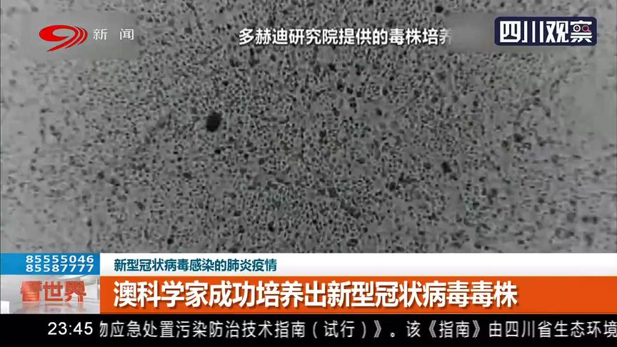 突破!澳科学家成功培养出新型冠状病毒毒株,为疫苗研发提供帮助