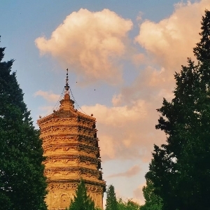 山鬼入我怀 