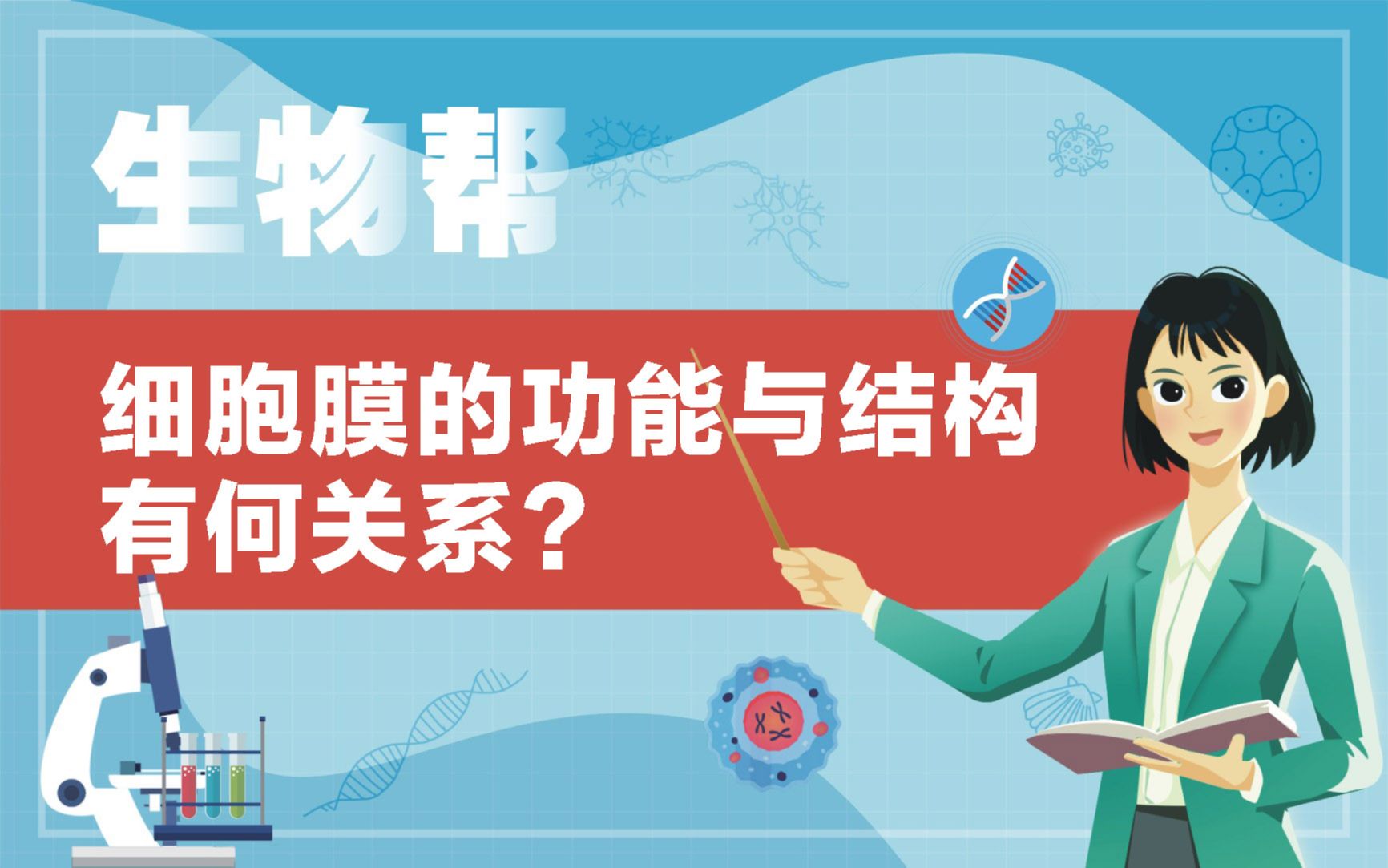 细胞膜的功能与结构有何关系?