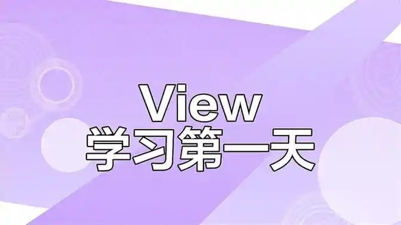 Vue输入框与段落同步演示,轻松掌握基本操作