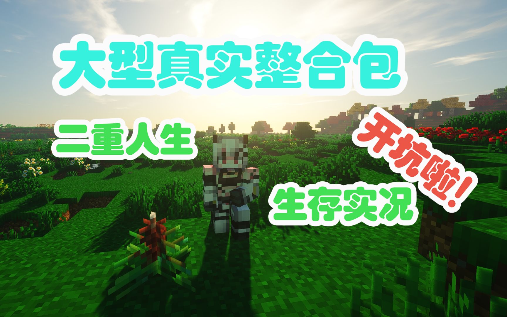 开新坑啦!大型真实向生存整合包:二重人生|【我的世界】|一刀秒了,有...