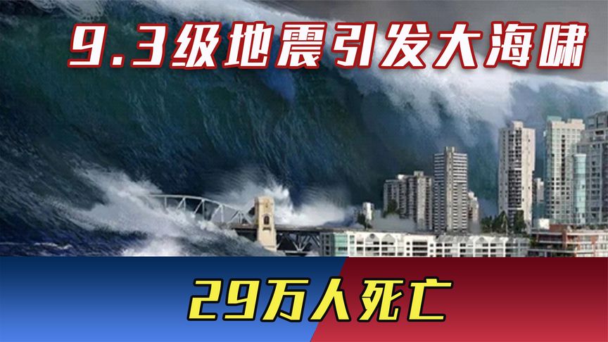 印度洋9.3级地震引发大海啸,29万人死亡,多个国家惨遭袭击