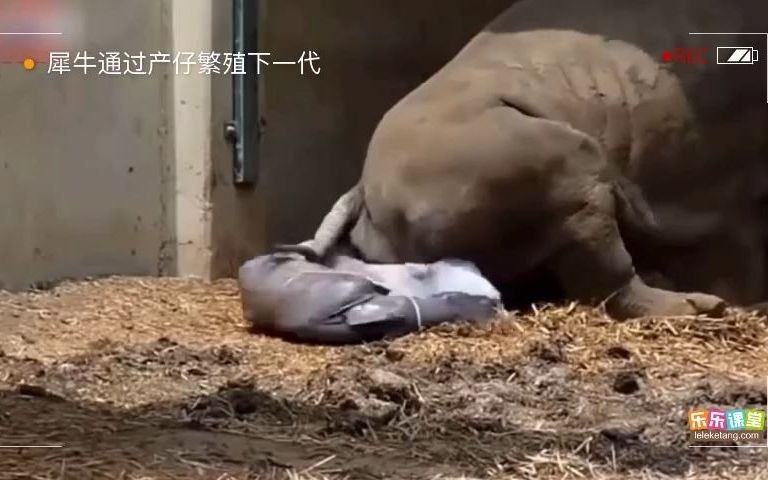 02. 生物的其他特征和观察法