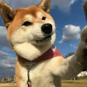 离离离离原上谱 