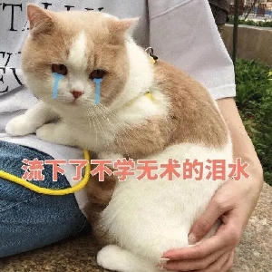 大导心腹 