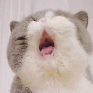 Smilesiliu 