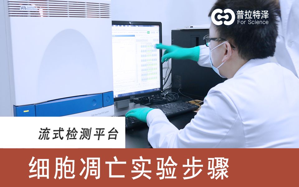 细胞凋亡检测实验步骤——流式检测