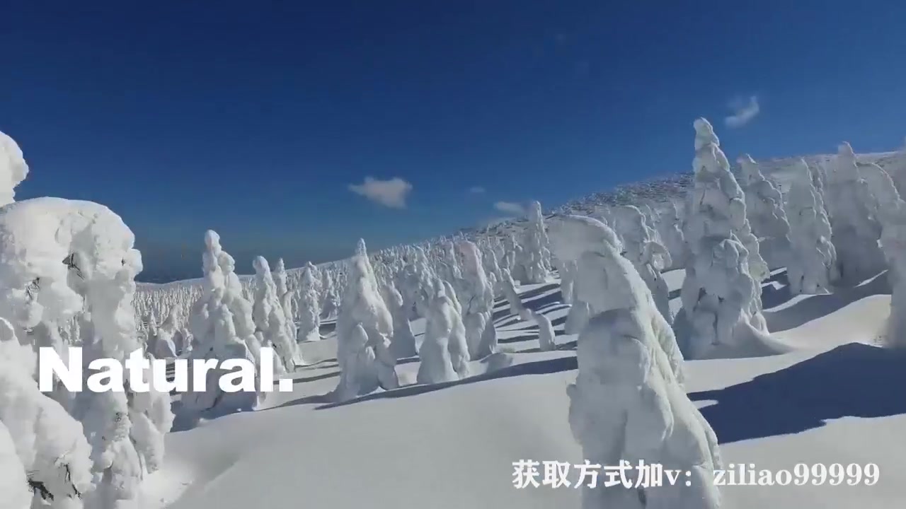 【pr调色预设】精选58组个性化自然黑白复古视频调色预设