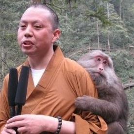 不知拍什么的小彭君 