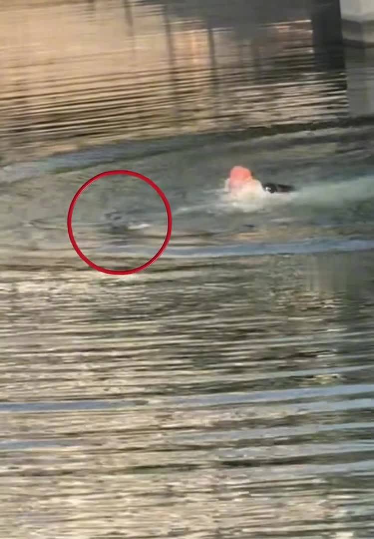 女子不慎落水,热心大哥毫不犹豫跳进冰冷的河中救人