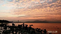 深圳红树林湿地公园