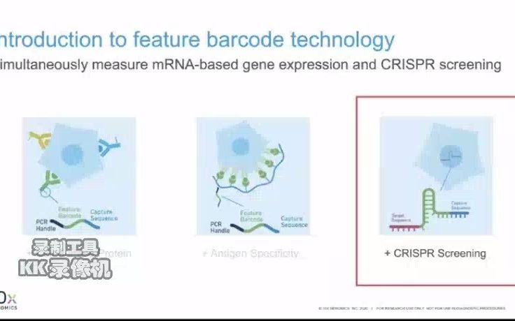 第六课_10x Genomics单细胞CRISPR筛选