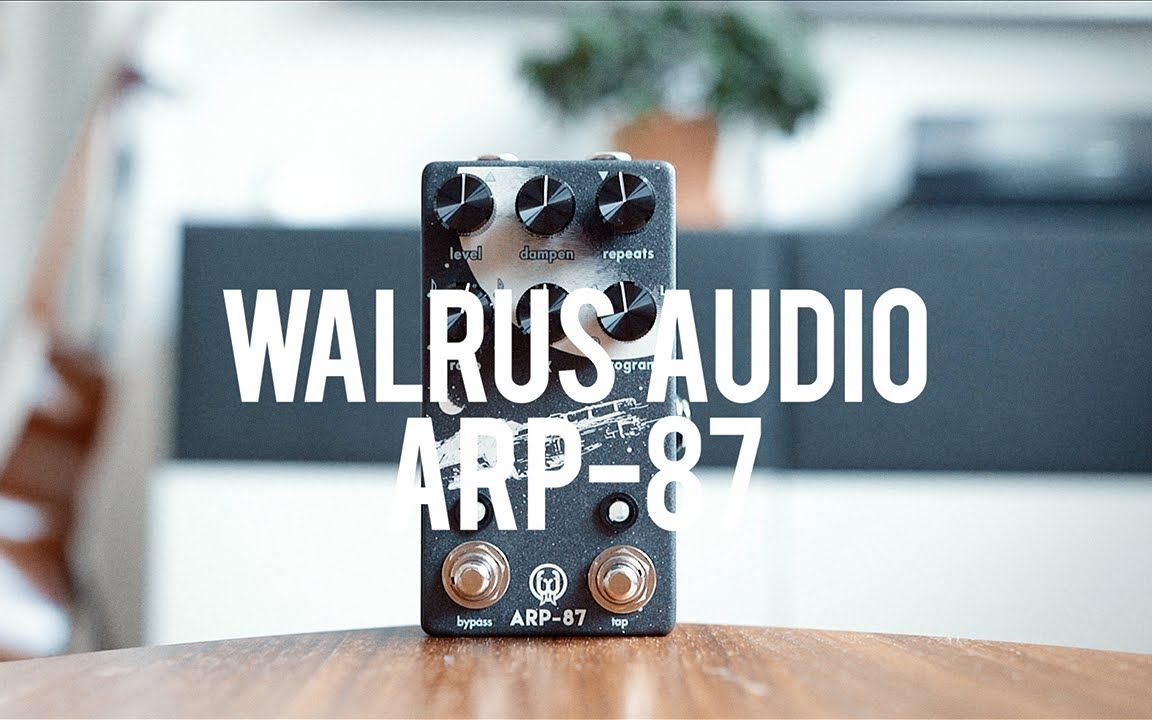 Walrus Audio ARP87 延迟单块效果器音色试听