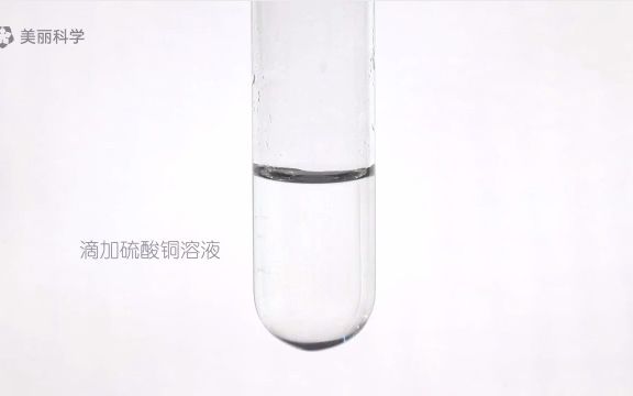 7-3硫酸铜与氢氧化钠、氯化钡溶液反应