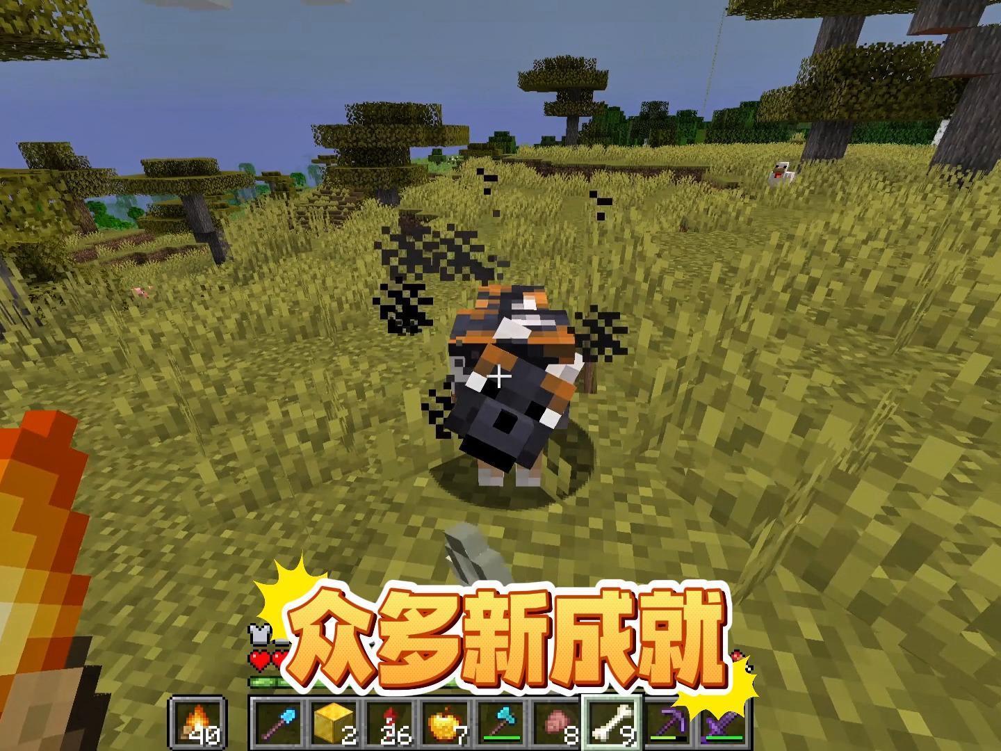 我的世界1.21第41期:众多新成就,各有特色 #我的世界 #MC