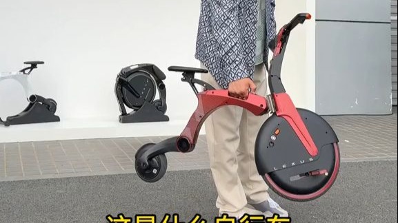 这是什么自行车?