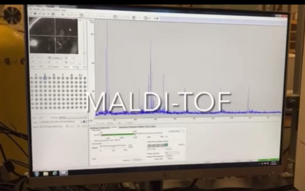 MALDI-TOF分析软件flexcontrol使用过程