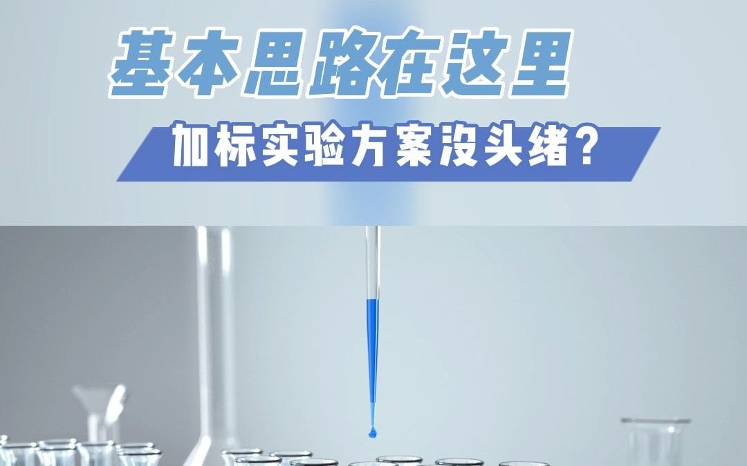 加标实验方案没头绪?基本思路在这里
