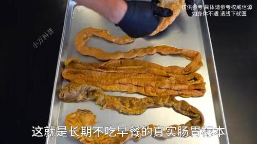 不吃早餐的危害究竟有多大?