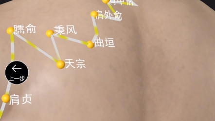 【针灸经络穴位】手太阳小肠经的内外循行